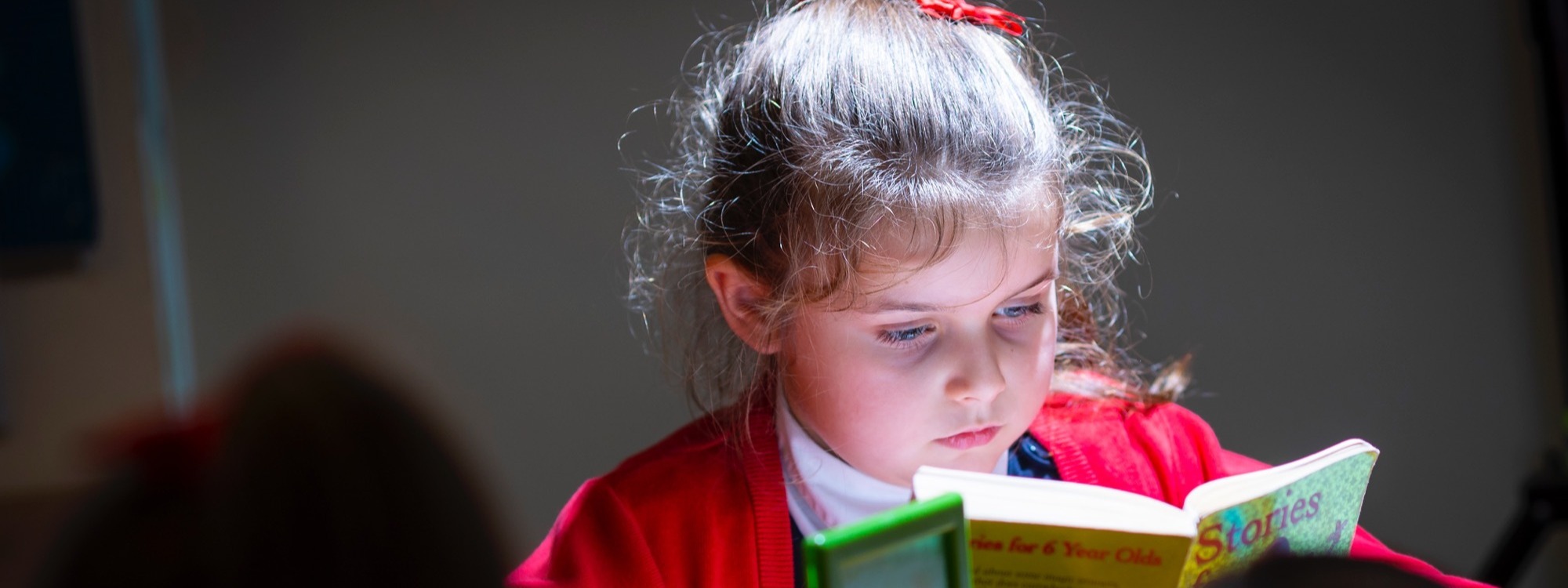 Religious Education - Subject Information - Our Lady of Mount Carmel ...